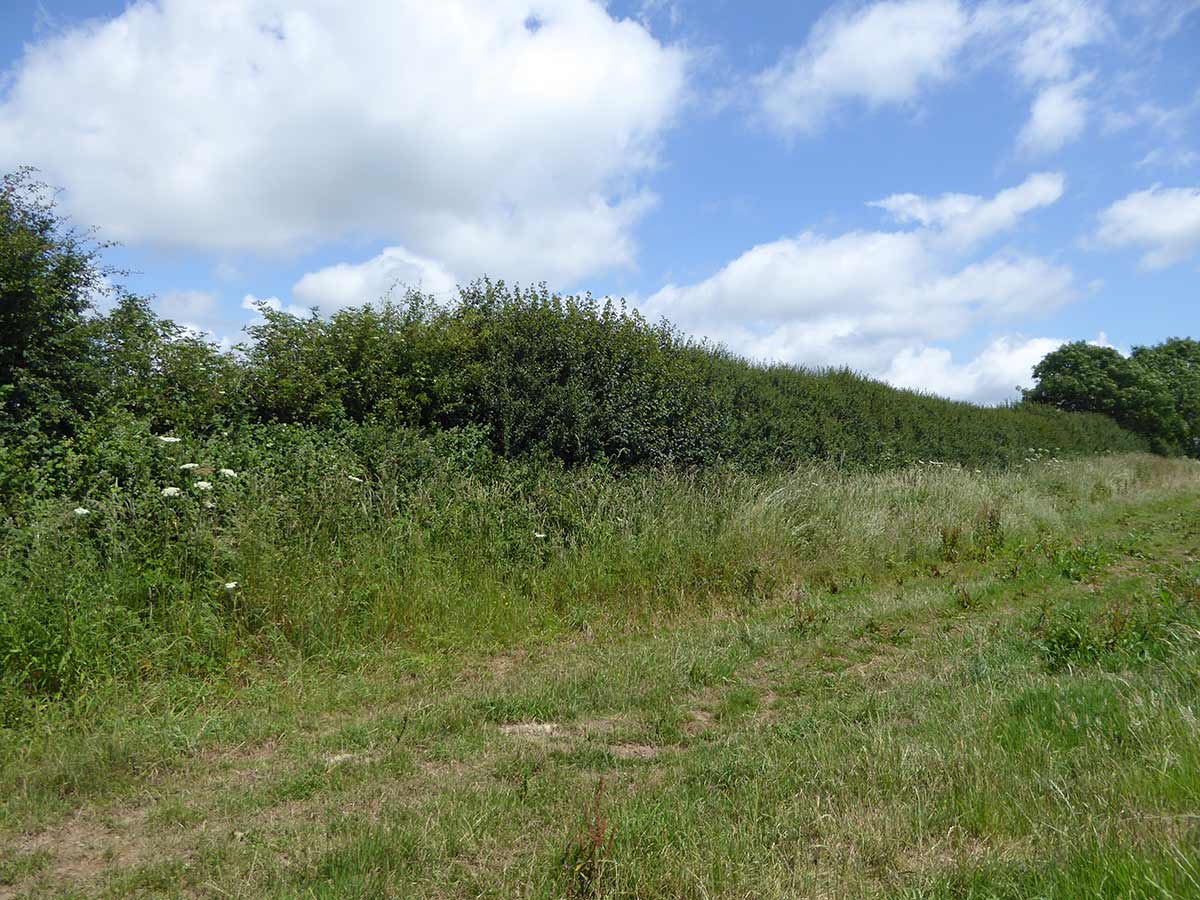 Stand – Campaigning to save the area north of Dorchester – North of ...